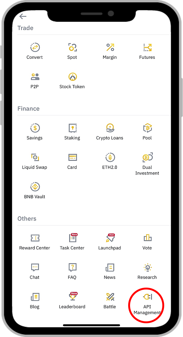 API Binding – Ricabot