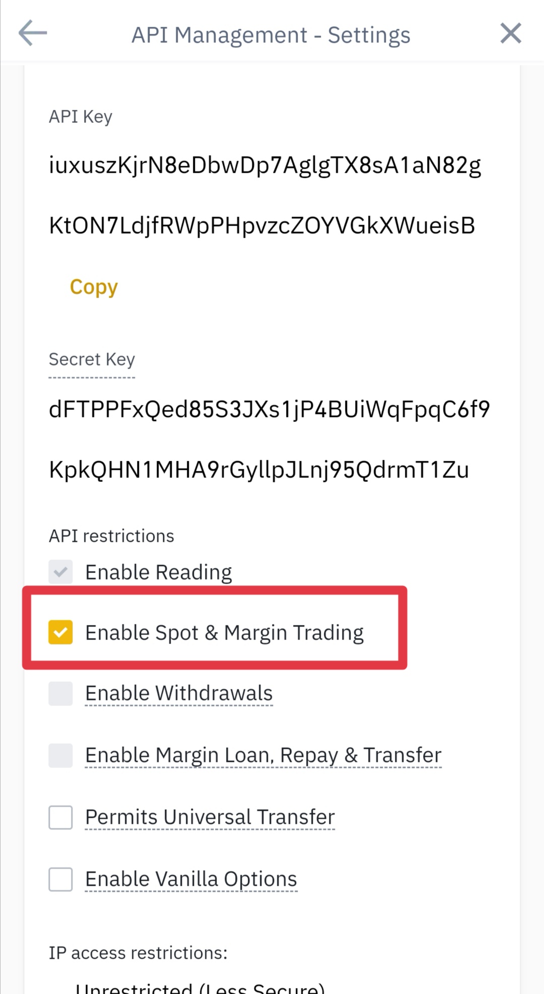 API Binding – Ricabot